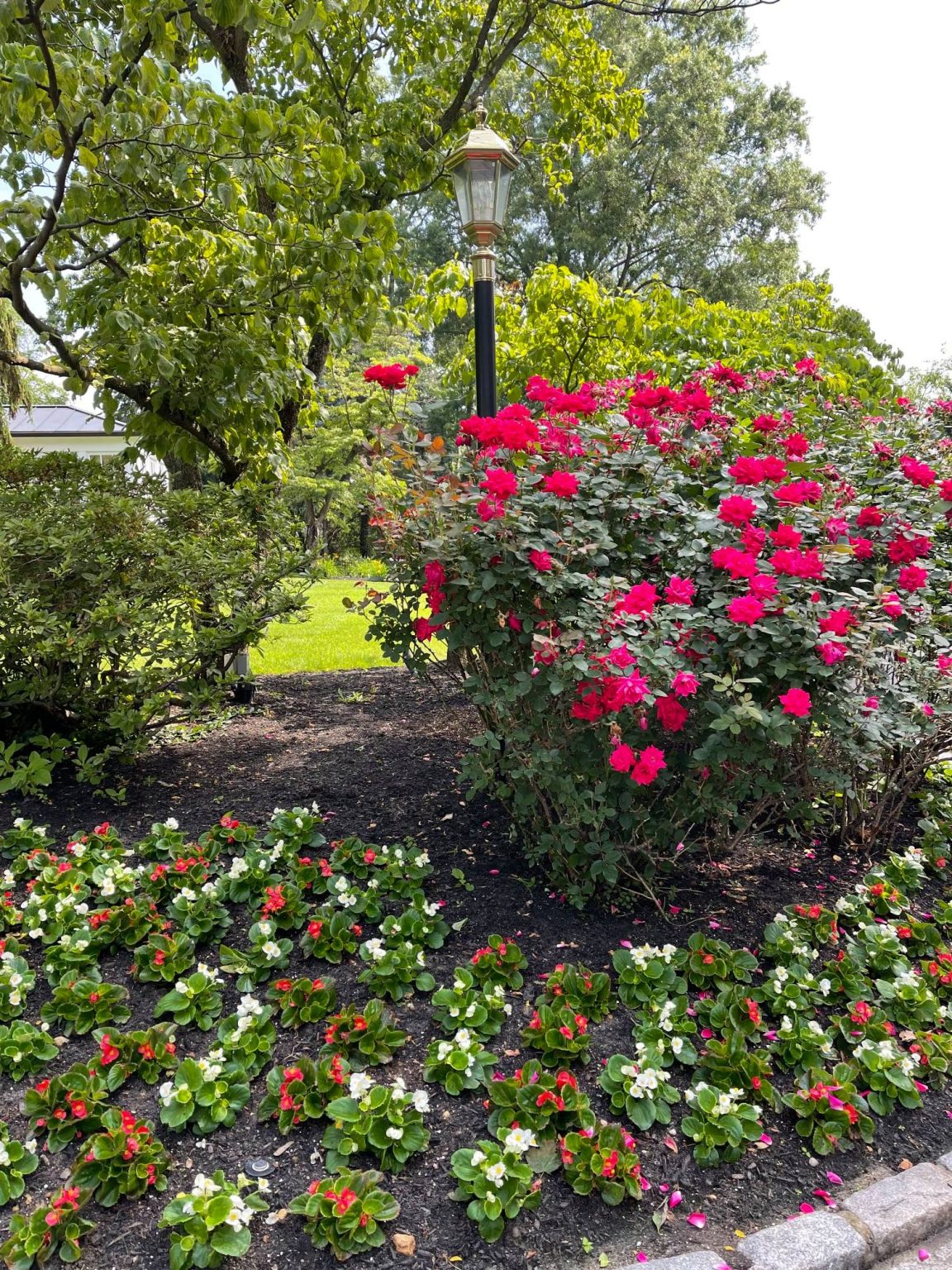 Chetti Landscaping – South Jersey Landscaping Services
