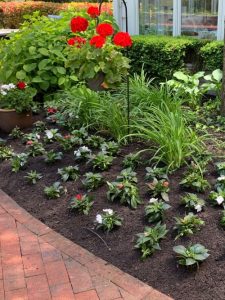 Chetti Landscaping – South Jersey Landscaping Services